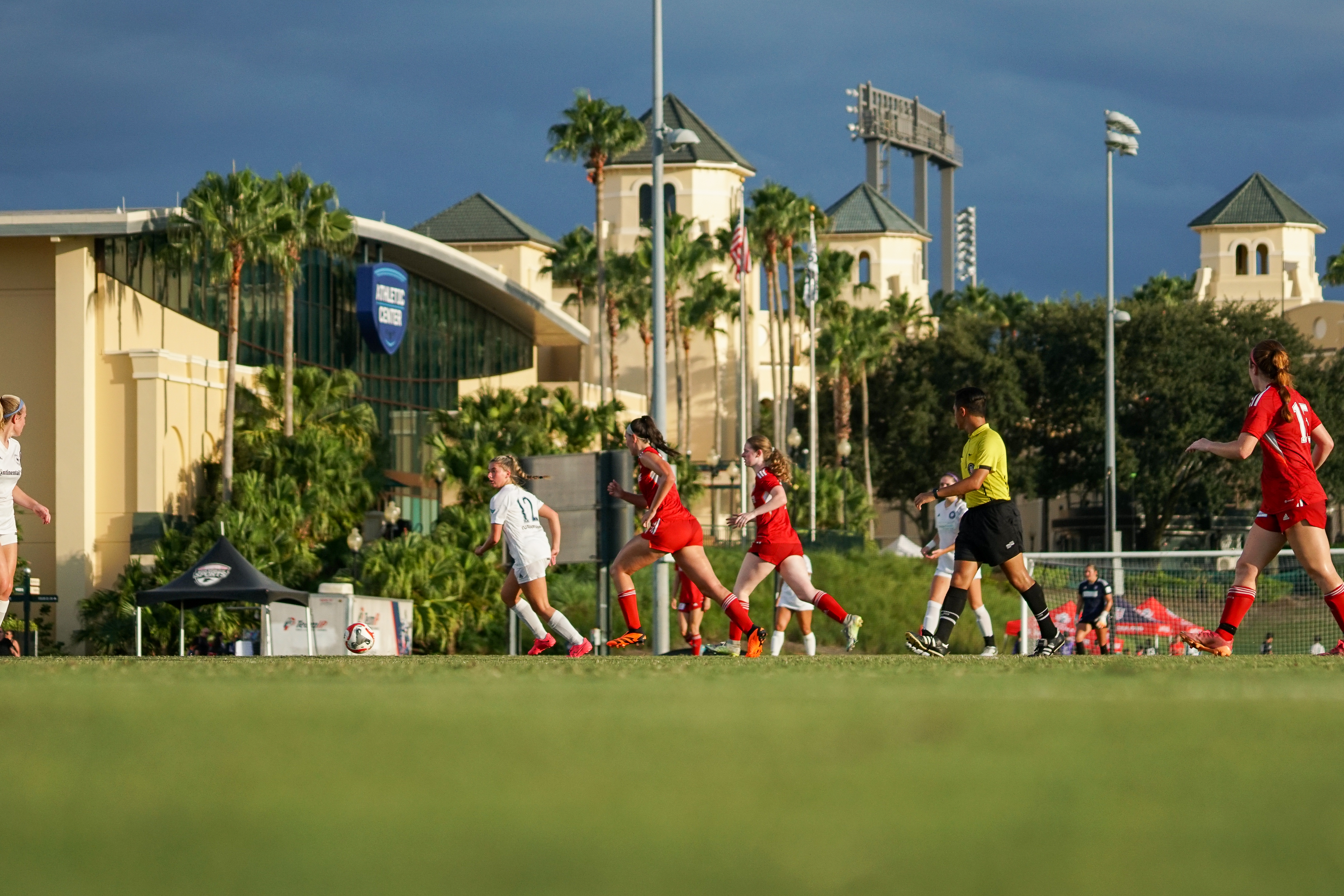 Team-Based Leagues - The National League